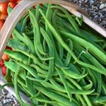 CLEAPSS - Technology